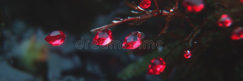 Delicate Ruby Lightnings Glimmering Amidst Shadowy Foliage Stock Image ...