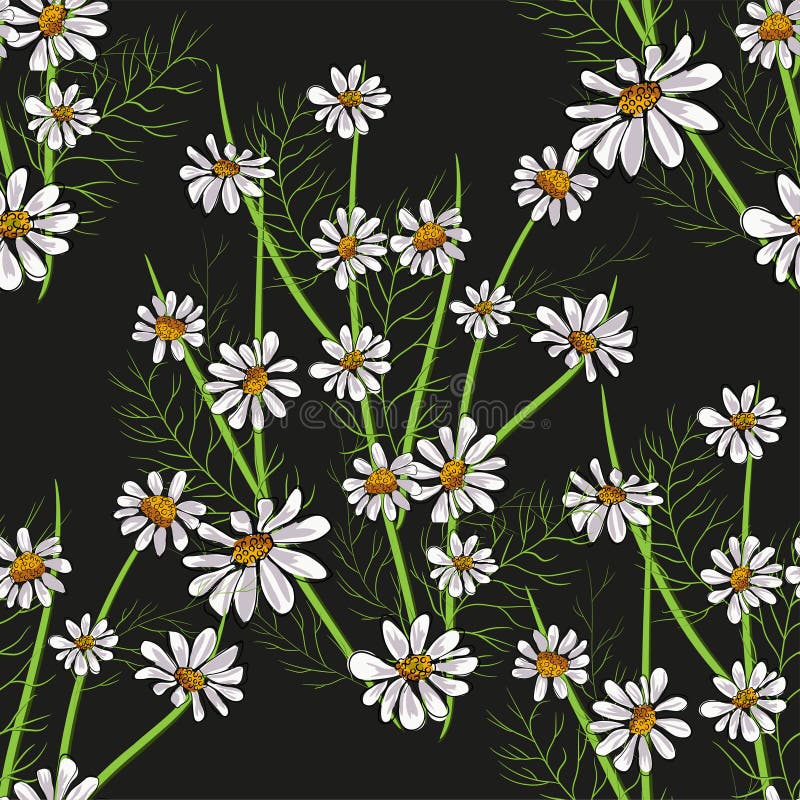 Delicate Seamless Pattern with Chamomile . Vector Illustration Stock ...