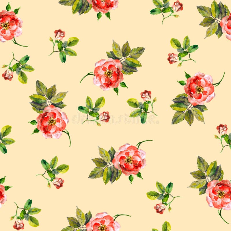 Delicate Seamless Roses Pattern with Red Flowers Stock Illustration ...
