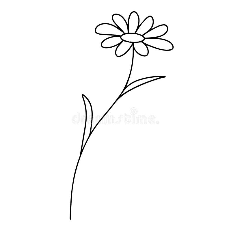 Delicate Sketch of a Spring Flower. Vector Illustration in Hand Drawn ...