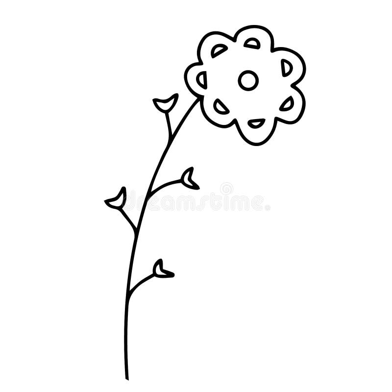 Delicate Sketch of a Spring Flower. Vector Illustration in Hand Drawn ...