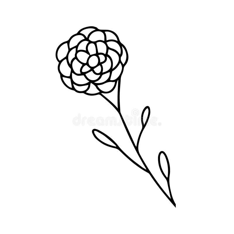 Delicate Sketch of a Spring Flower. Vector Illustration in Hand Drawn ...