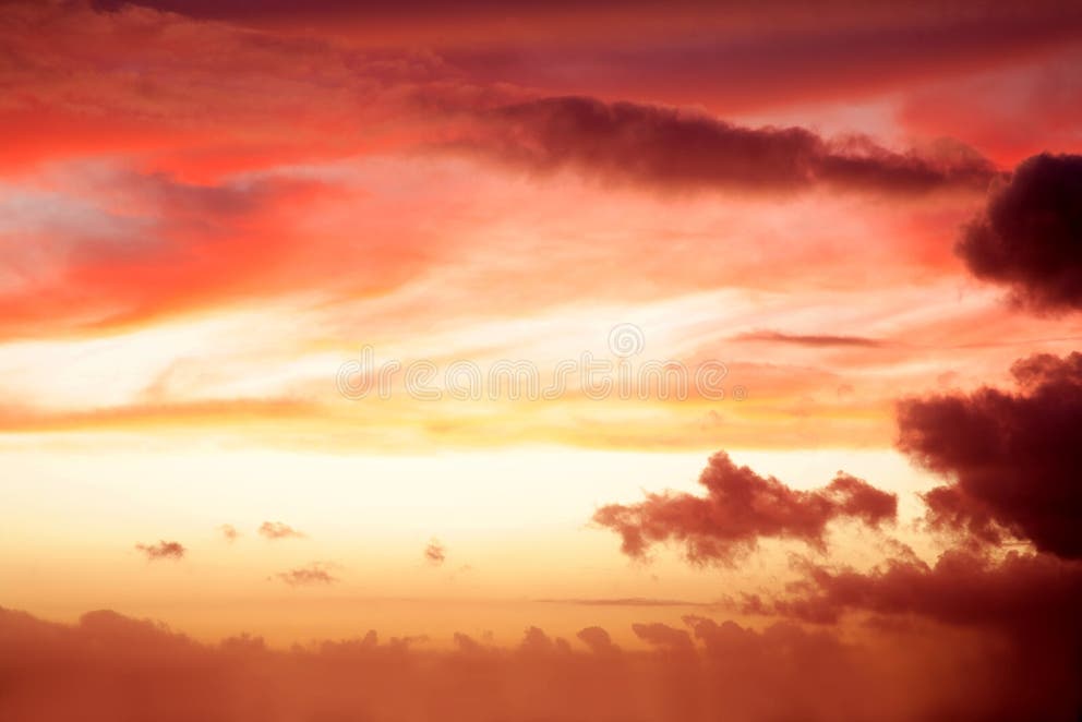 Delicate sky stock photo. Image of golden, beauty, morning - 12169624