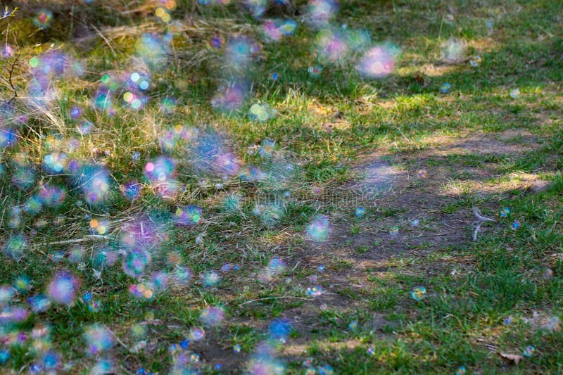 Colorful Bubble Macro Nature Photography Stock Image - Image of light ...