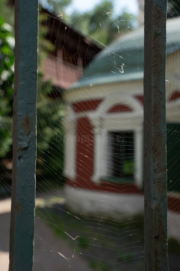 Spider Web Building Time Stock Photos - Free & Royalty-Free Stock ...