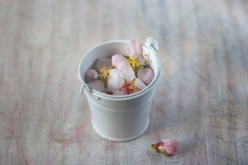 Delicate Spring Flowers in Decorative Bucket Stock Image - Image of ...