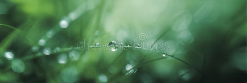 Delicate Water Droplets Representing Conservation Floating Gently ...