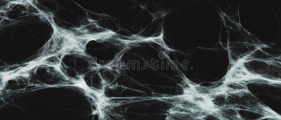 Intricate Spider Web Overlay on Window with Light Filtering through ...