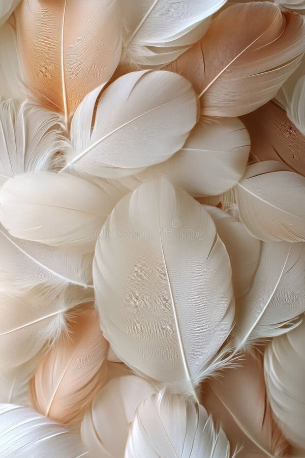 Delicate White and Beige Feathers Arranged in a Soft, Textured Pattern ...