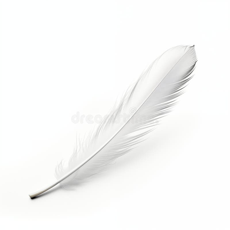 Delicate White Feather with Fine Details and Soft Texture on White ...