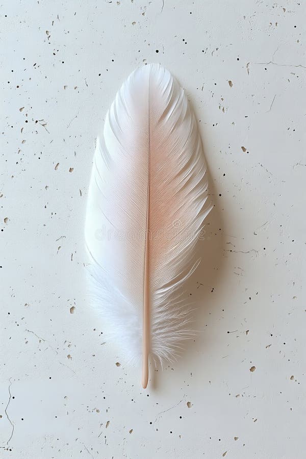 Delicate White Feather on Speckled Surface Stock Illustration ...