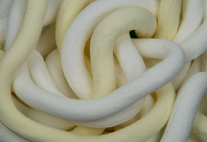 Delicate White and Light Yellow Marshmallows in the Form of Spaghetti ...