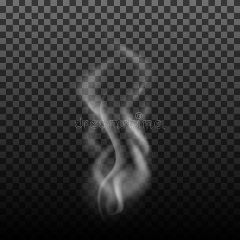 Delicate White Realistic Smoke Flowing Wave on Transparent Background ...