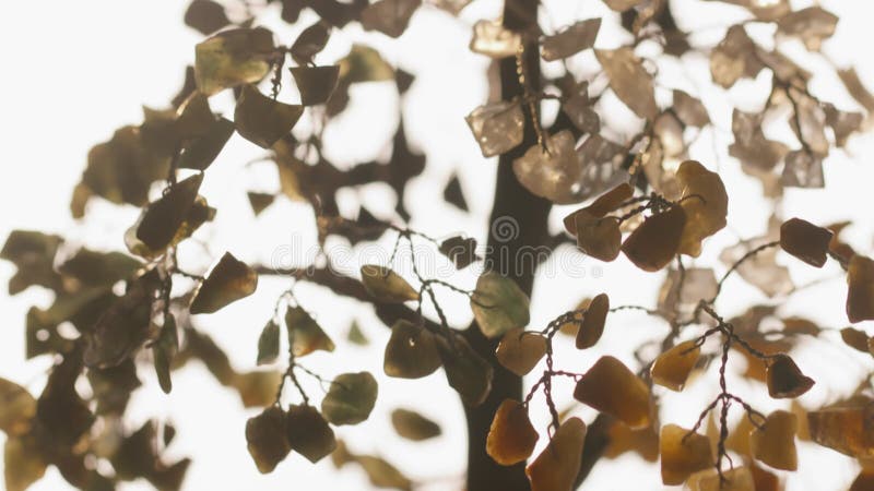Delicate Wind Chime Made of Translucent Shells Sways Gracefully ...