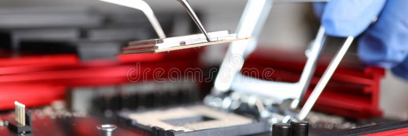 PC CPU Intel in the Hands of a Technician Against the Background of the ...