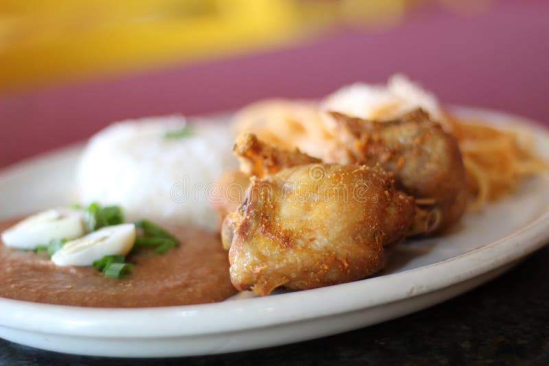 Delicioso prato de comida stock photo. Image of produce - 262563250