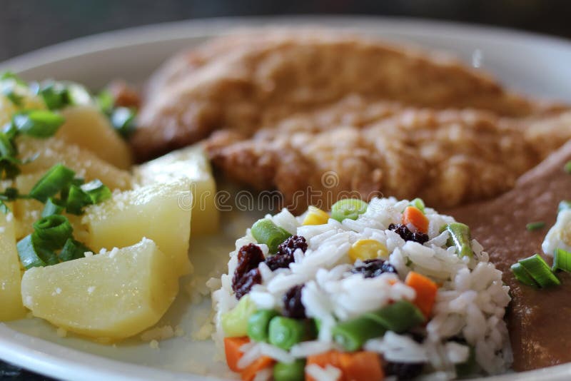 Delicioso prato feito stock image. Image of salad, meat - 262563261