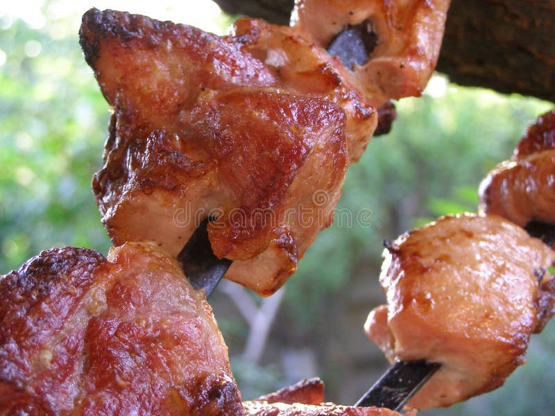 Delicious barbecue stock image. Image of fried, meat - 77393209