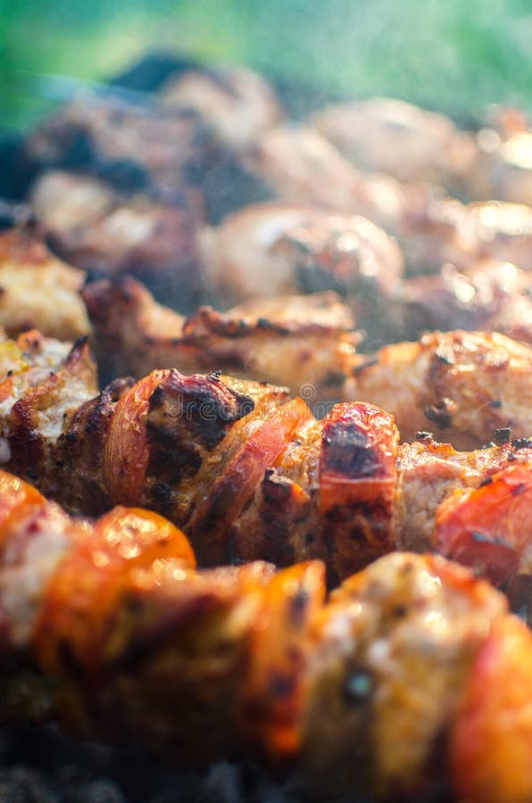Delicious Barbecue on the Nature Stock Photo - Image of setting, smoke ...