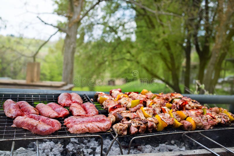 Delicious Barbecue Outdoors in Nature Stock Photo - Image of pork, wild ...