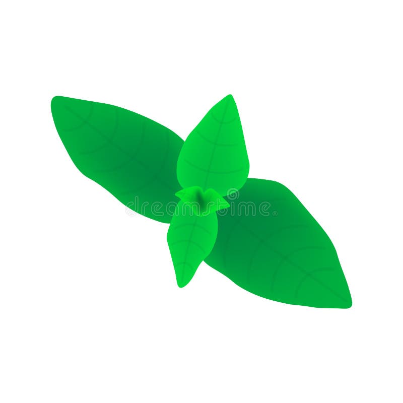 Delicious basil icon stock illustration. Illustration of health - 201794885