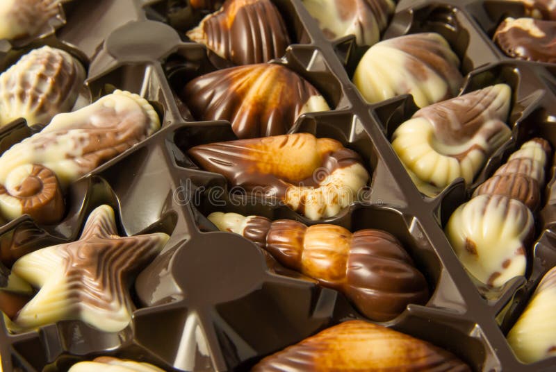 Delicious Belgian Pralines in the Form of Seashells Stock Image - Image ...