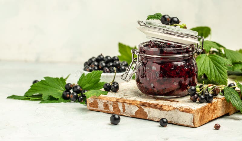 Delicious Black Currant Jam Urd, Custard or Jam and Fresh Berries, Long ...