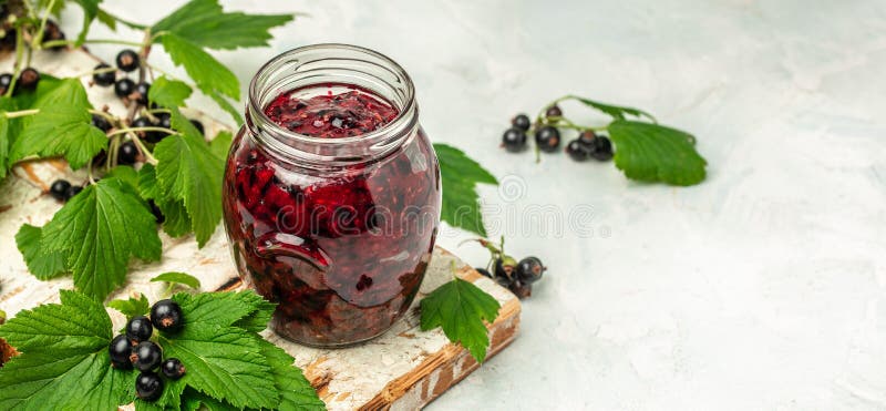 Delicious Black Currant Jam Urd, Custard or Jam and Fresh Berries, Long ...
