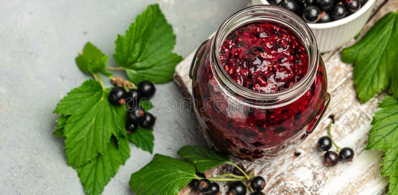 Delicious Black Currant Jam Urd, Custard or Jam and Fresh Berries, Long ...