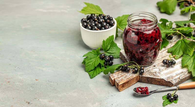 Delicious Black Currant Jam Urd, Custard or Jam and Fresh Berries, Long ...