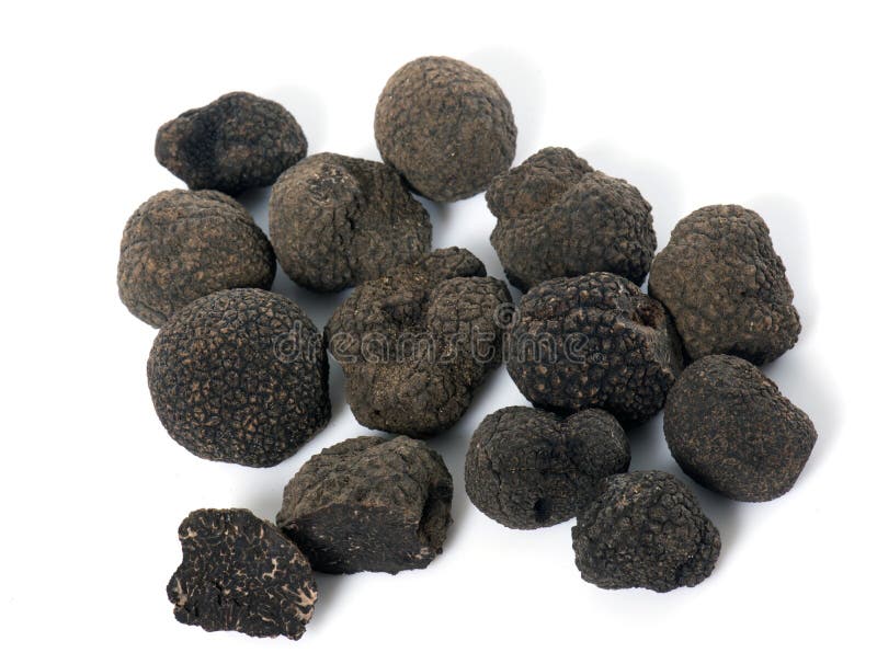 Truffles stock image. Image of organic, truffle, tuber - 17655671