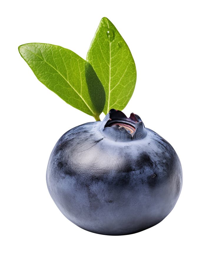 Delicious Blue Blueberries on a White Background Stock Illustration ...