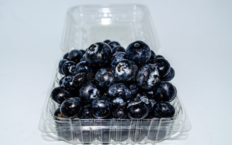 Delicious Blueberries In Plastic Box Stock Photo - Image of background ...