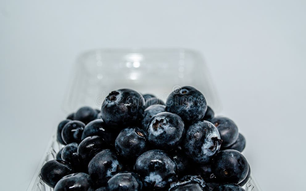 Delicious Blueberries in Plastic Boxes Stock Photo - Image of bilberry ...