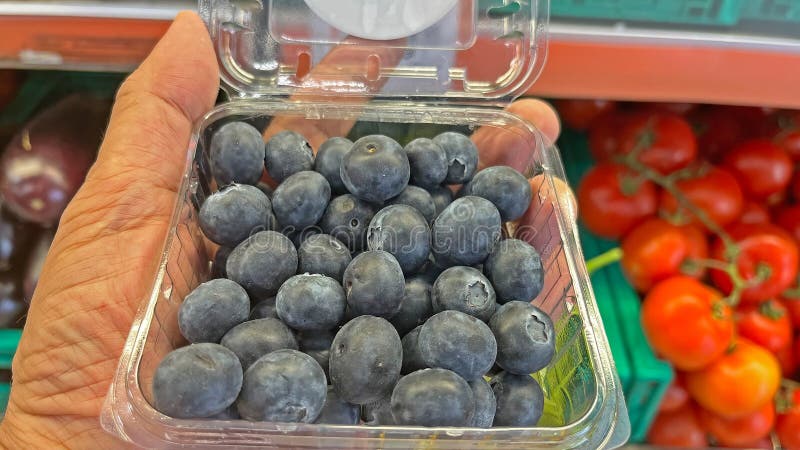 Delicious Blueberry in Plastic Packaging in the Supermarket Stock Image ...