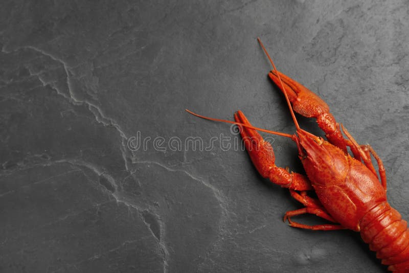 Delicious Boiled Crayfish on Black Table, Top View. Stock Photo - Image ...