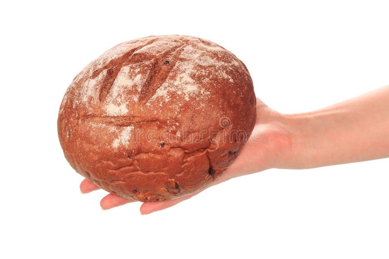 Delicious Bread in Hands stock image. Image of golden - 42274919