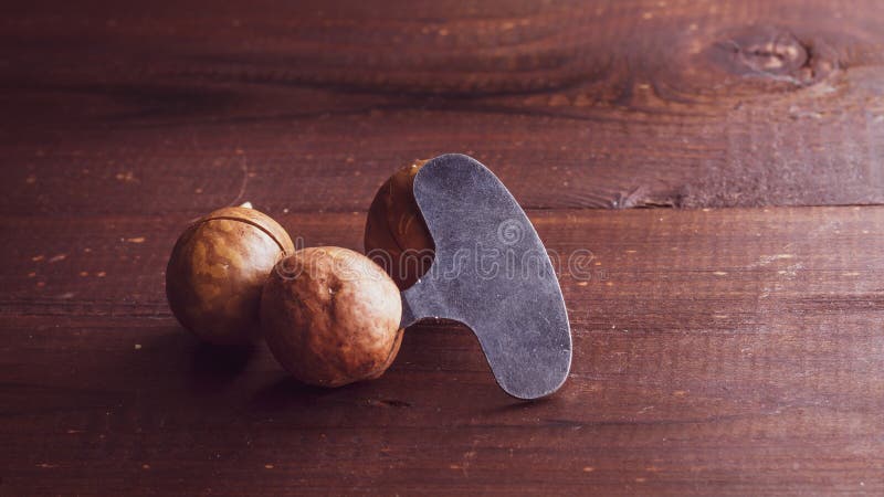 Delicious Brown Round Macadamia Nuts and a Nut Opener Key on the Brown ...