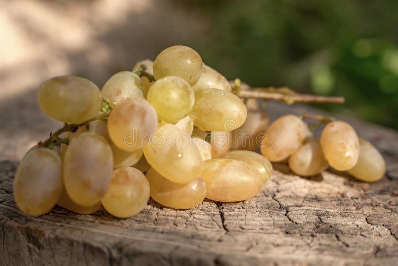 The Delicious Bunch of Grapes on the Wood Stock Image - Image of ...