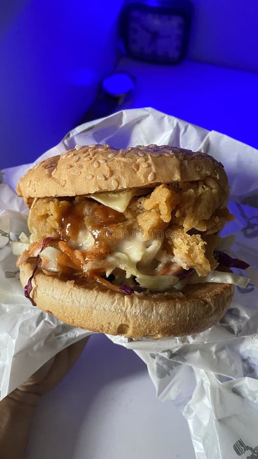 Delicious Burger stock photo. Image of beef, sauce, delicious - 263402270