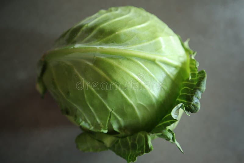 Delicious Cabbage Vegetables Stock Photo - Image of pictute, produce ...