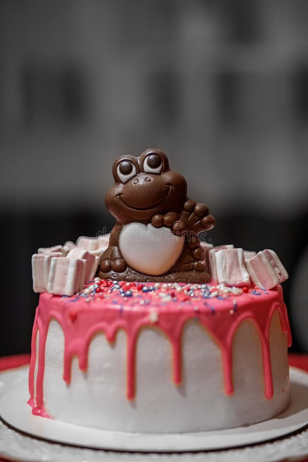 Delicious Cake with Chocolate Toad and Marshmallows. the Concept of ...