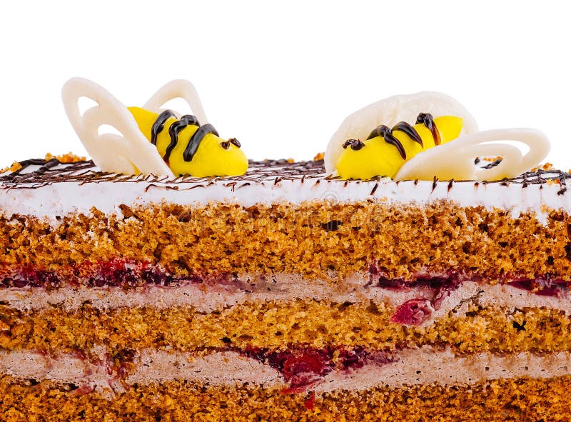 Delicious Cake Showing Layers Decorated with Chocolate and Marzipan ...