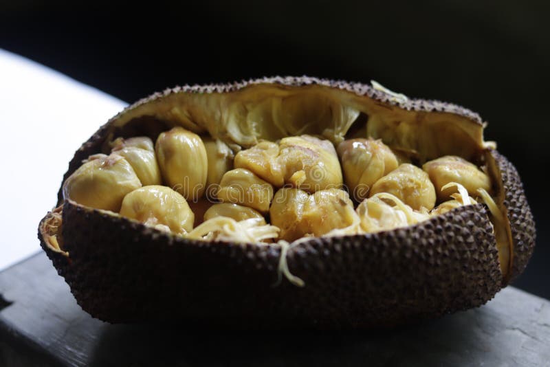 Delicious cempedak fruit stock image. Image of flower - 228970431