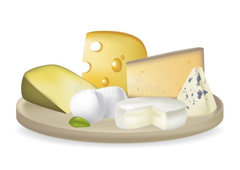 Delicious Cheese plate stock vector. Illustration of cheddar - 25777988