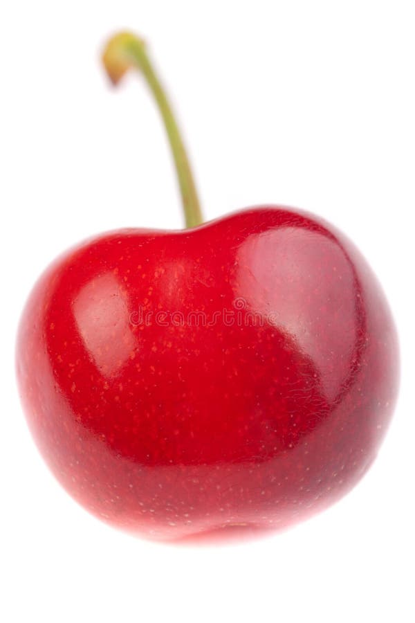 Perfect Cherry stock photo. Image of ingredient, sappy - 29915774