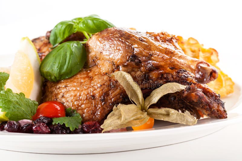 Delicious chicken dish stock photo. Image of dinner, mashed - 37656542