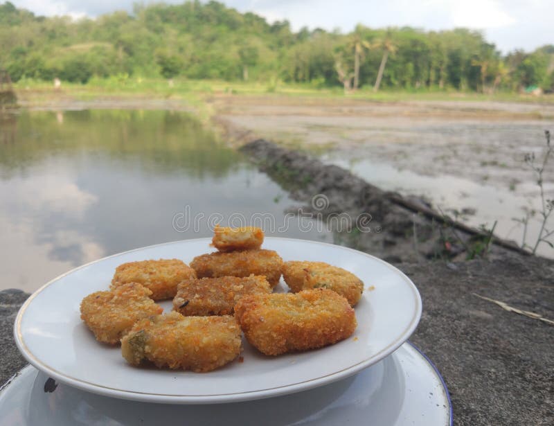 Delicious Chicken Nuggets on the Edge of Rice Fields Stock Photo ...