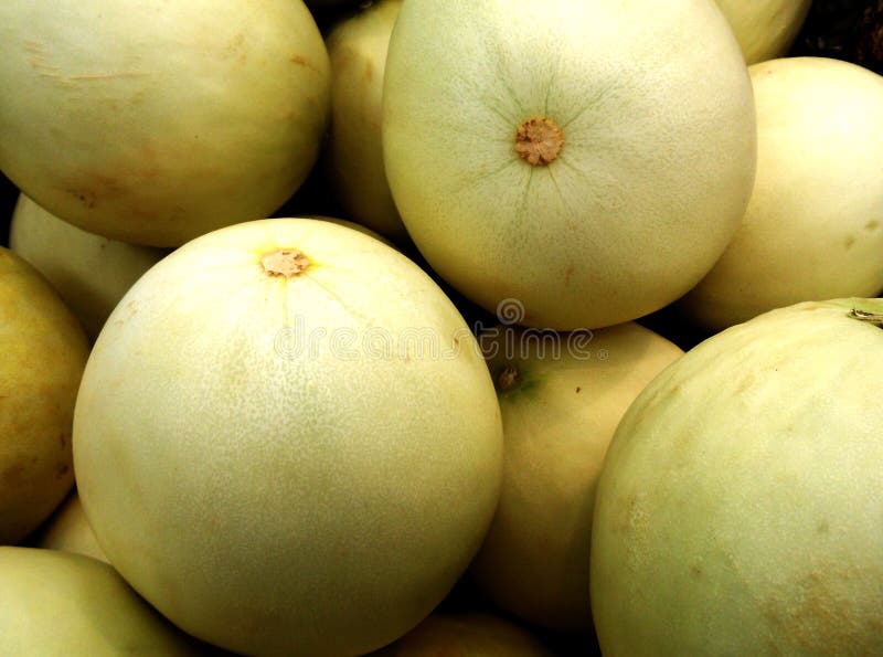 Melon smooth stock image. Image of healthy, food, fruit - 31707413