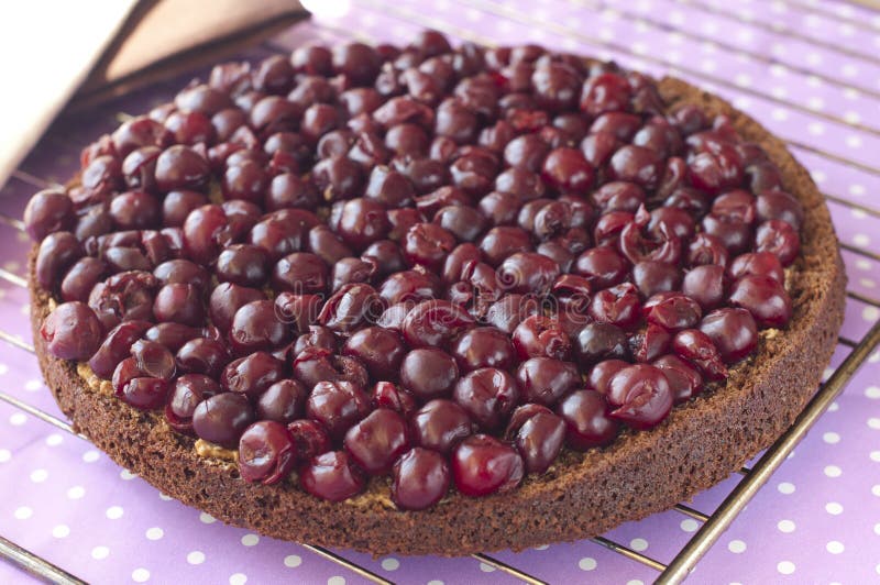 Delicious Chocolate Cherry Tart Stock Image - Image of homemade ...